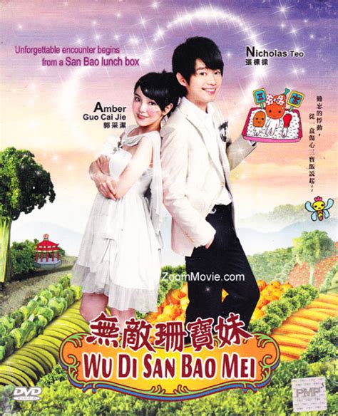 無敵珊寶妹 正版DVD光碟 2008 台劇 全1 19集完整版 中文字幕