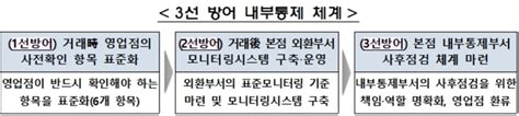 금감원 이상 외화송금 막는 내부통제 방안 마련 딜사이트