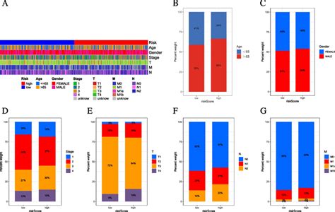 Clinical Significance Of The Prognostic Risk Signature A Heatmap