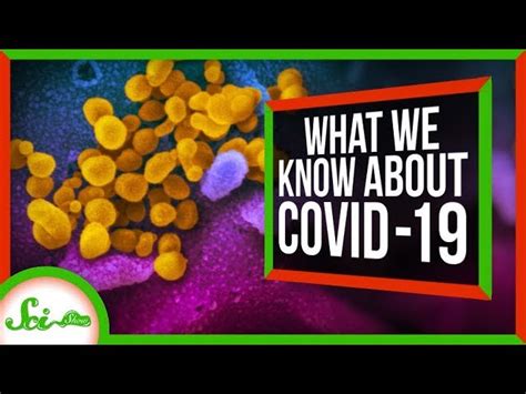 Understanding Cdc Isolation Guidelines What You Need To Know About