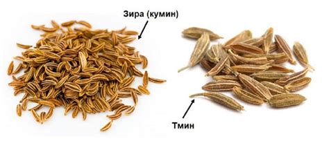 Семена кумина (зиры) — применение специй — Семья