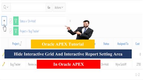 Hide Interactive Grid And Interactive Report Setting Area In Oracle