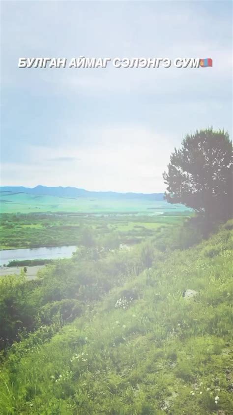 Миний хувьд хэн хэнээс илүү хамгийн нандин хүн минь шүү 🥰🥹 Бүхнээс илүү намайг хүндэлж хайрладаг