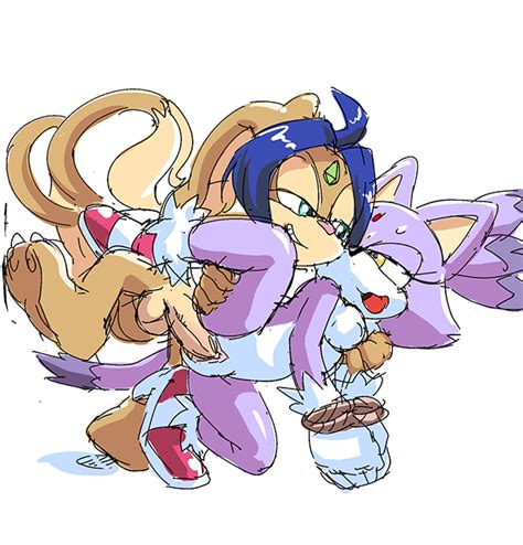 Rule 34 Anthro Balls Blaze The Cat Breasts Cat Color Coolblue Duo