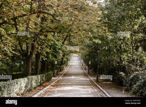 Tree Lined Road Alongside Forest Park Stock Photo Alamy