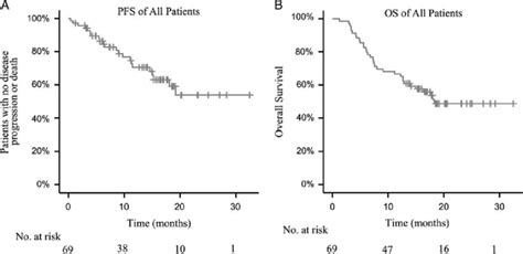 Survival Curves Of The Esophageal Cancer Patients Treated With Ici