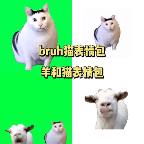 Huh猫头像恶搞图 抖音