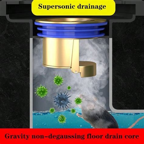 Gravity Drain Core Bathroom Is Equipped With A Floor Drain Which Is