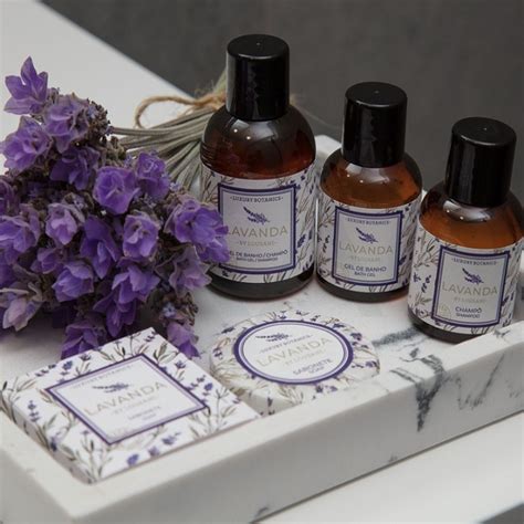DISPENSADOR DE LOCIÓN CORPORAL LAVANDA 300 ML Kits de limpieza y