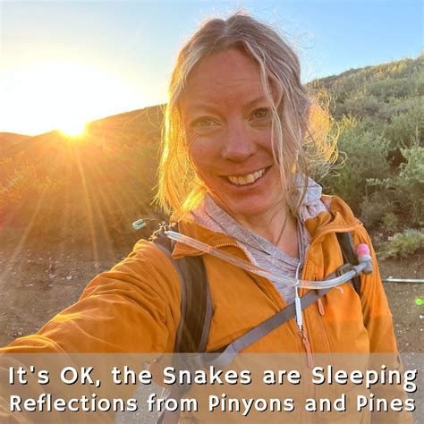 The Town Bicycle Aka The Townie Thetownbicycle • Instagram