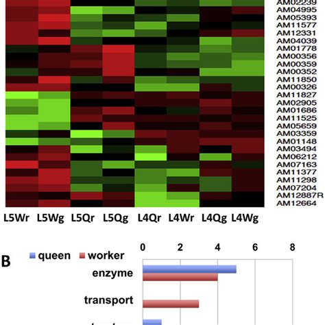 Microarray Results On Differentially Expressed Genes Degs In Honey Download Scientific