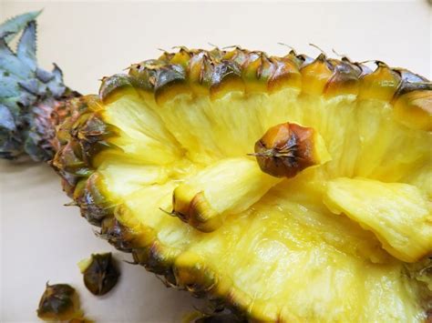 Form Powder Food Processing Enzymes Packaging Size 25 Kg Drums At