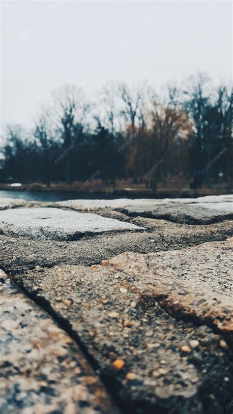 free photo vertical selective closeup shot of rocky surface