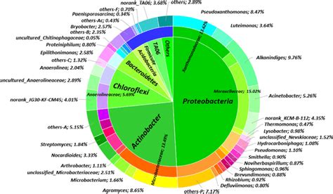 Taxonomic Classification Of The Bacterial 16s Rrna Gene Sequence Reads