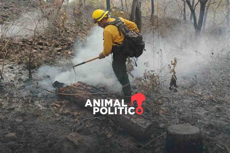 Brigadistas De Protección Civil Combaten Incendios En Guerrero Con
