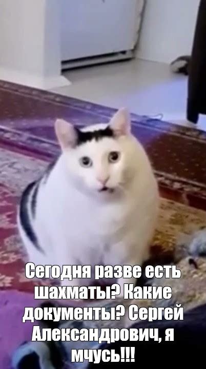 Meme Сегодня разве есть шахматы Какие документы Сергей