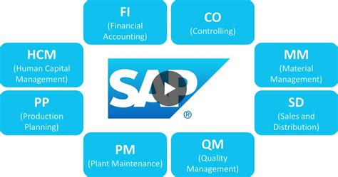 How To Use Mm03 Transaction In Sap For Material Master Data Javed