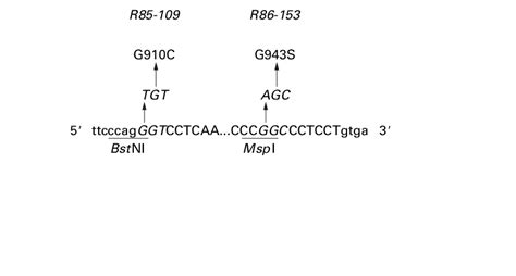 Identification Of The Col2a1 Mutation In Patients R85 109 And R86 153 Download Scientific