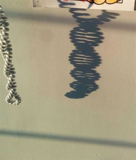 30 Surprising Shadows That Made People Look Twice Bored Panda