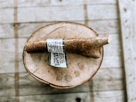 Large Highland 100 Natural Deer Antler Bodhi And The Birchtree