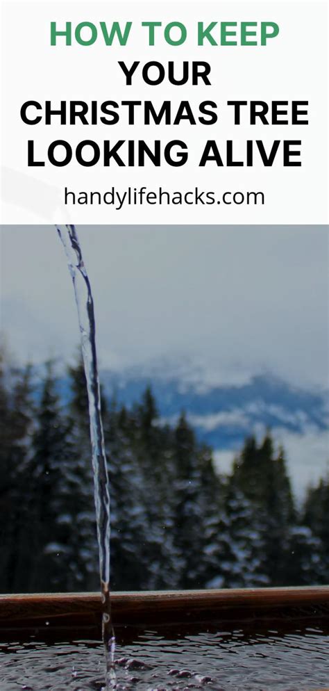 How To Keep Your Christmas Tree Looking Alive Handy Life Hacks