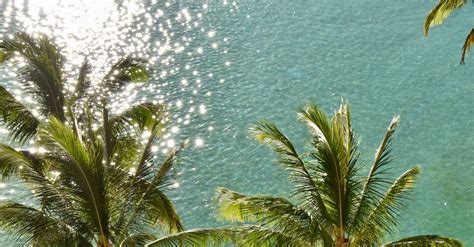 경치 경치 좋은 전망 경치가 좋은 고요한 관광 녹색 따뜻한 기후 리조트 맑은 하늘 목가적인 무성한 물 미국 밀물과 썰물 바다 바다 경치 반짝이는