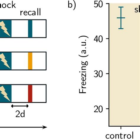 Memory Linking In A Fear Conditioning Simulation A Simulation
