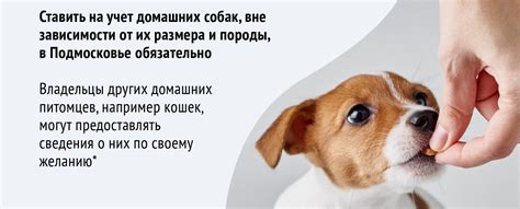 ГБУВ МО Территориальное ветеринарное управление №5