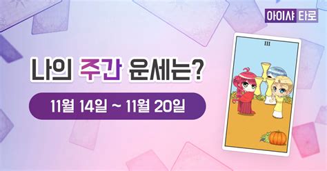무료 운세 타로 주간 운세 11월 14일 11월 20일
