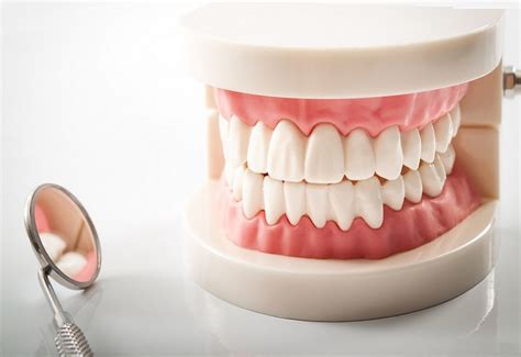 Câu hỏi thường gặp về bao nhiêu răng một người trưởng thành có bao