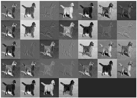 neural networks does mathematica v11 experimental code support state