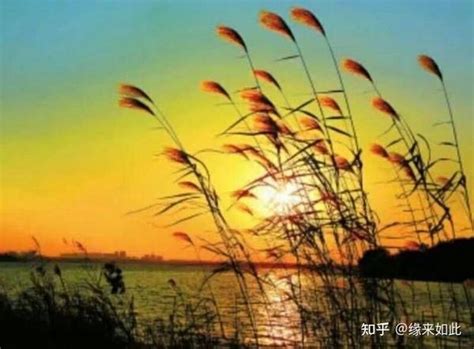 来日并不方长 知乎