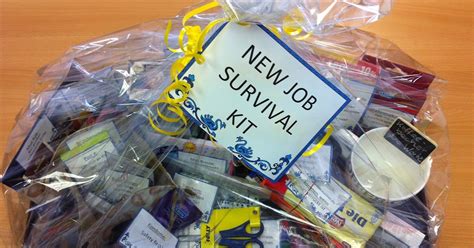 Annies Diy New Job Survival Kit