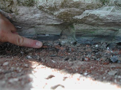 Chicxulub Scientists Identify Asteroid Type Behind Dinosaur Extinction