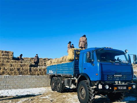 НЭМЭЛТ ХҮЧ ИЛГЭЭЛЭЭ Монгол Улсын Зэвсэгт хүчний томилгоот бүлгүүд өнөөдрийн байдлаар 17 аймагт