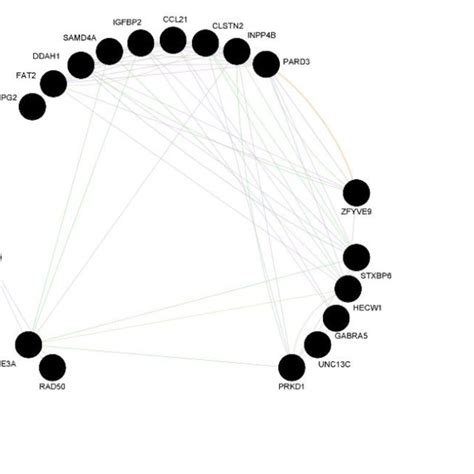 Gene Network Analysis Of Candidate Genes That Had An Association