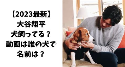 【2023最新】大谷翔平は犬飼ってる？動画は誰の犬で名前は？ Blue Snow