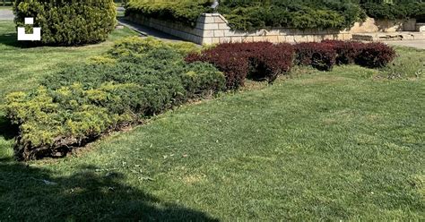 낮에는 푸른 하늘 아래 푸른 나무로 둘러싸인 흰색과 파란색 돔 건물 사진 Unsplash의 무료 세르비아 이미지