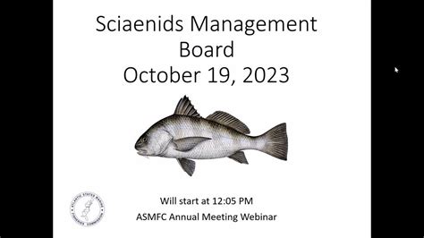 Sciaenids Board Proceedings October 2023 Youtube Sciaenids Board Proceedings October 2023 Youtube