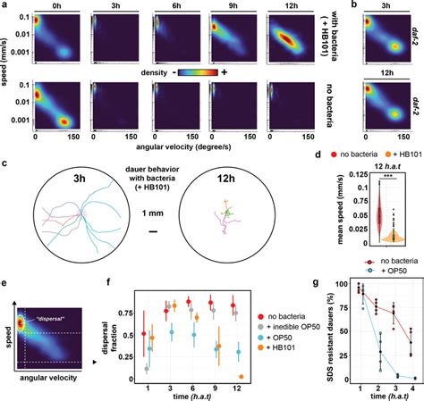 A Food Dependent Behavioral Switch During Dauer Exit A Two Dimensional