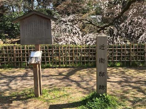 2020京都御苑近衛邸跡の糸桜 IKUIKUの愉しみ
