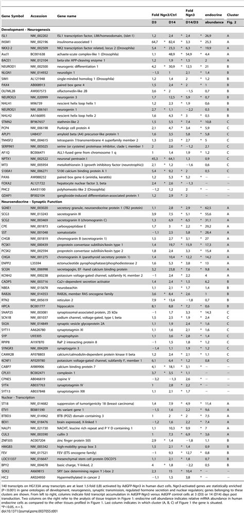 Selection Of Ngn3 Activated Genes In Suspension Cultured Human Duct