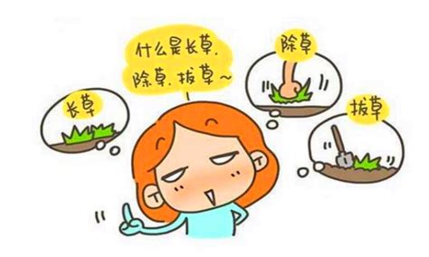 种草是什么意思酷知科普