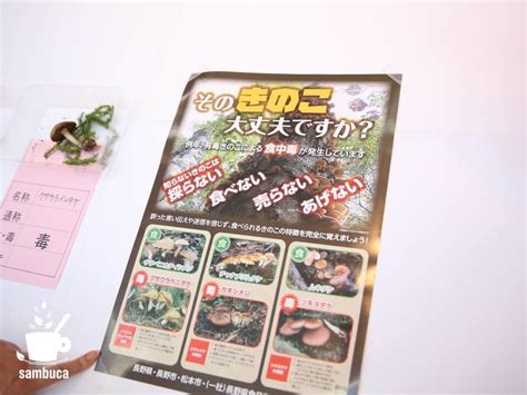 食べられる？毒キノコ？「きのこ中毒防止展示会」でお勉強 Sambuca