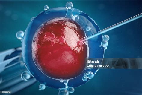 3d 그림에 생체 외 풍부 하 게 함을 계란 세포로 주사 정자 생식 치료 지원 인공수정에 대한 스톡 사진 및 기타 이미지 인공수정 3차원 형태 Dna Istock