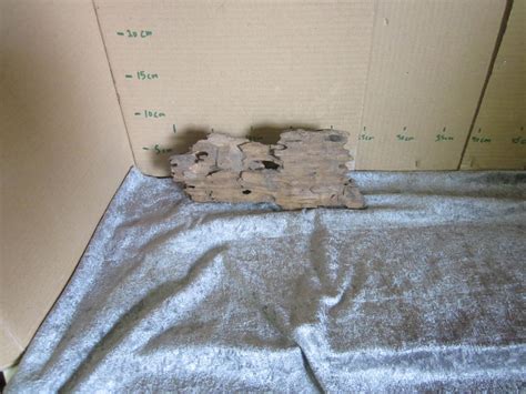 Drage TrÆ 2 Ba Foder