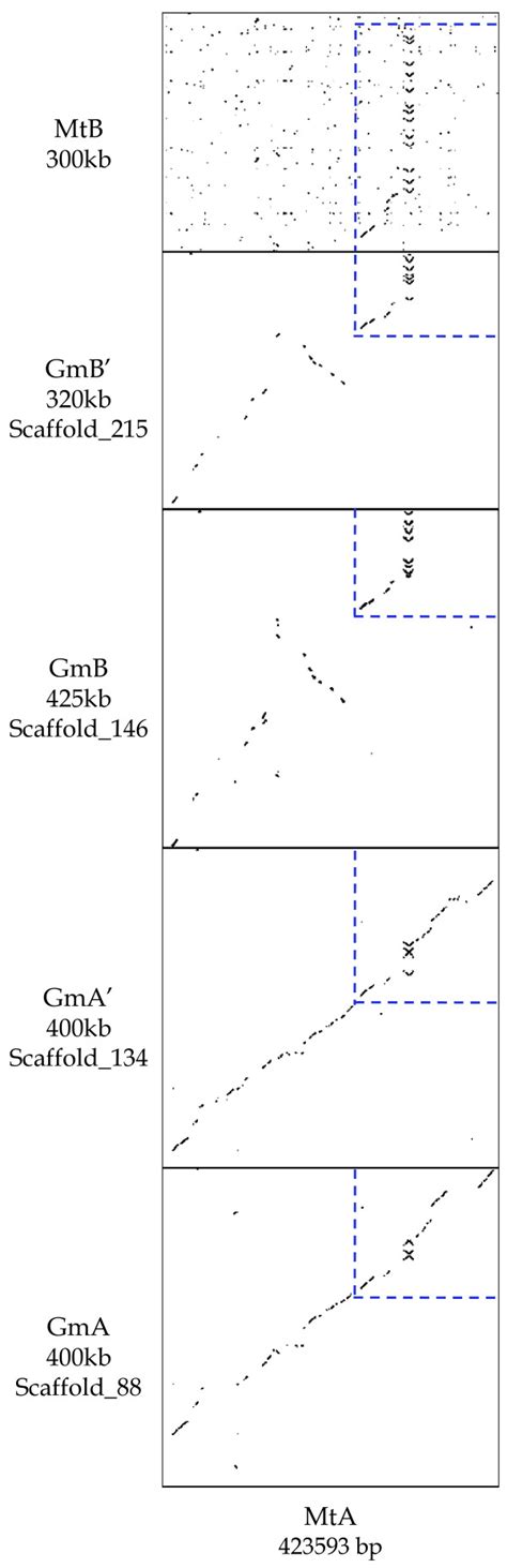 Dot Plot Alignments Of Six Lx Regions Between Soybean And Medicago Mta