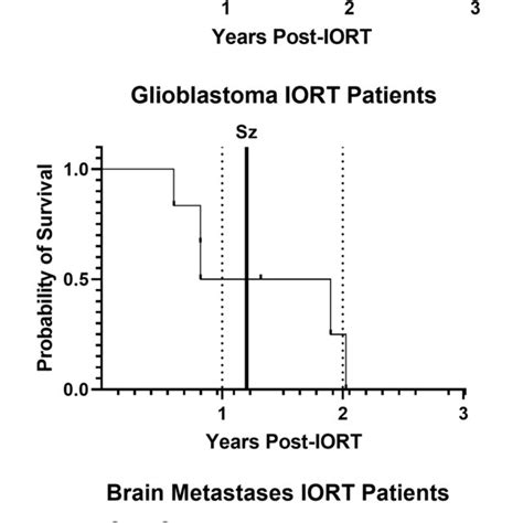 Kaplan Meir Estimation Of Overall Survival OS With Clinical Seizure