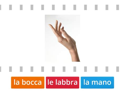 Le Parti Del Corpo Find The Match