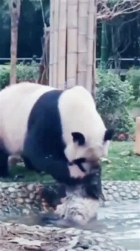 小时候的你 知乎